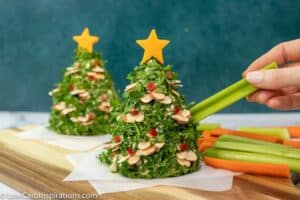 Keto Vegetable Christmas Tree - Low Carb Inspirations