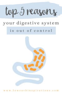 Top 5 Reasons Your Digestive System is Out of Control and What To Do ...